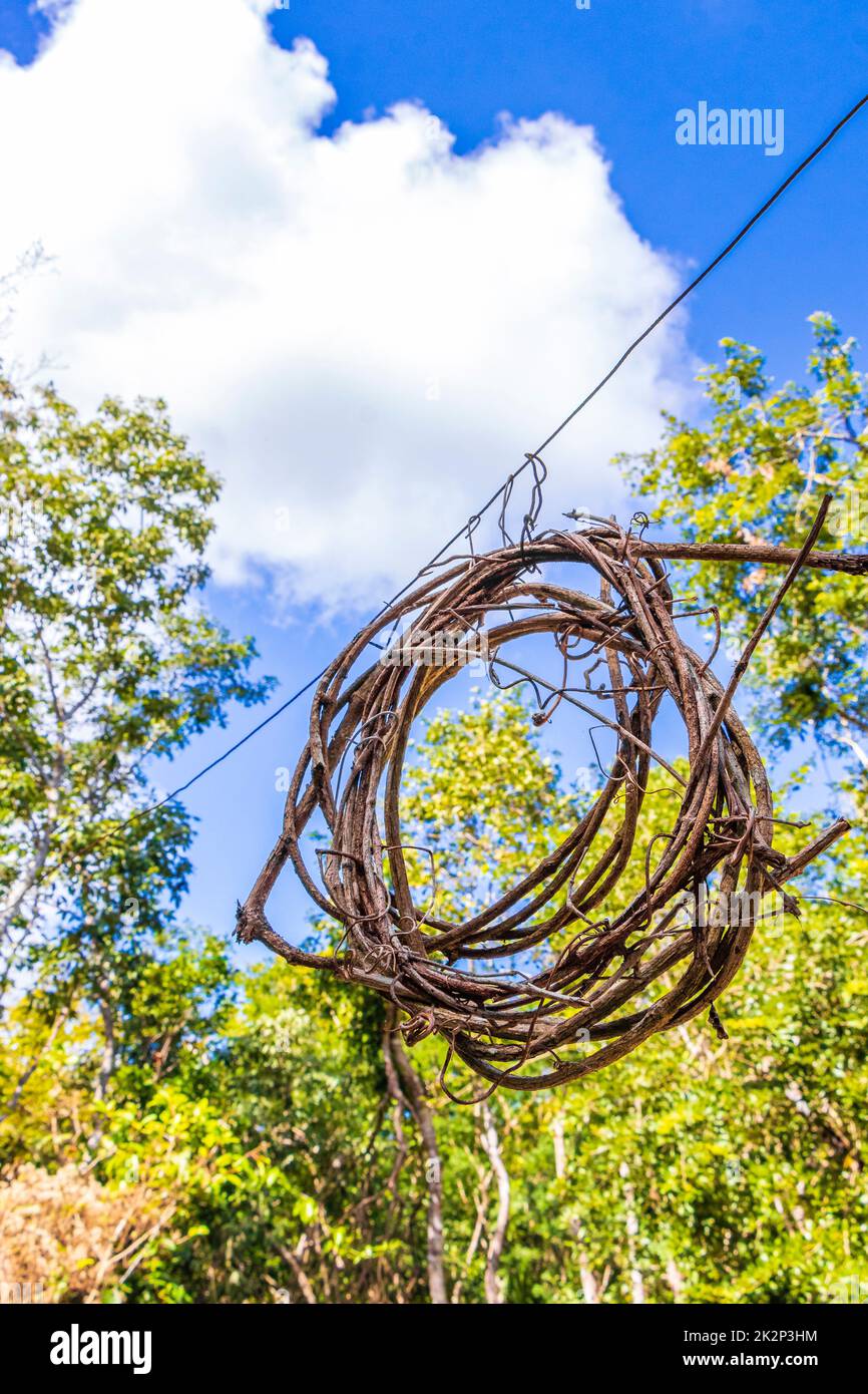 Wreath from wood sticks jungle forest Playa del Carmen Mexico Stock ...