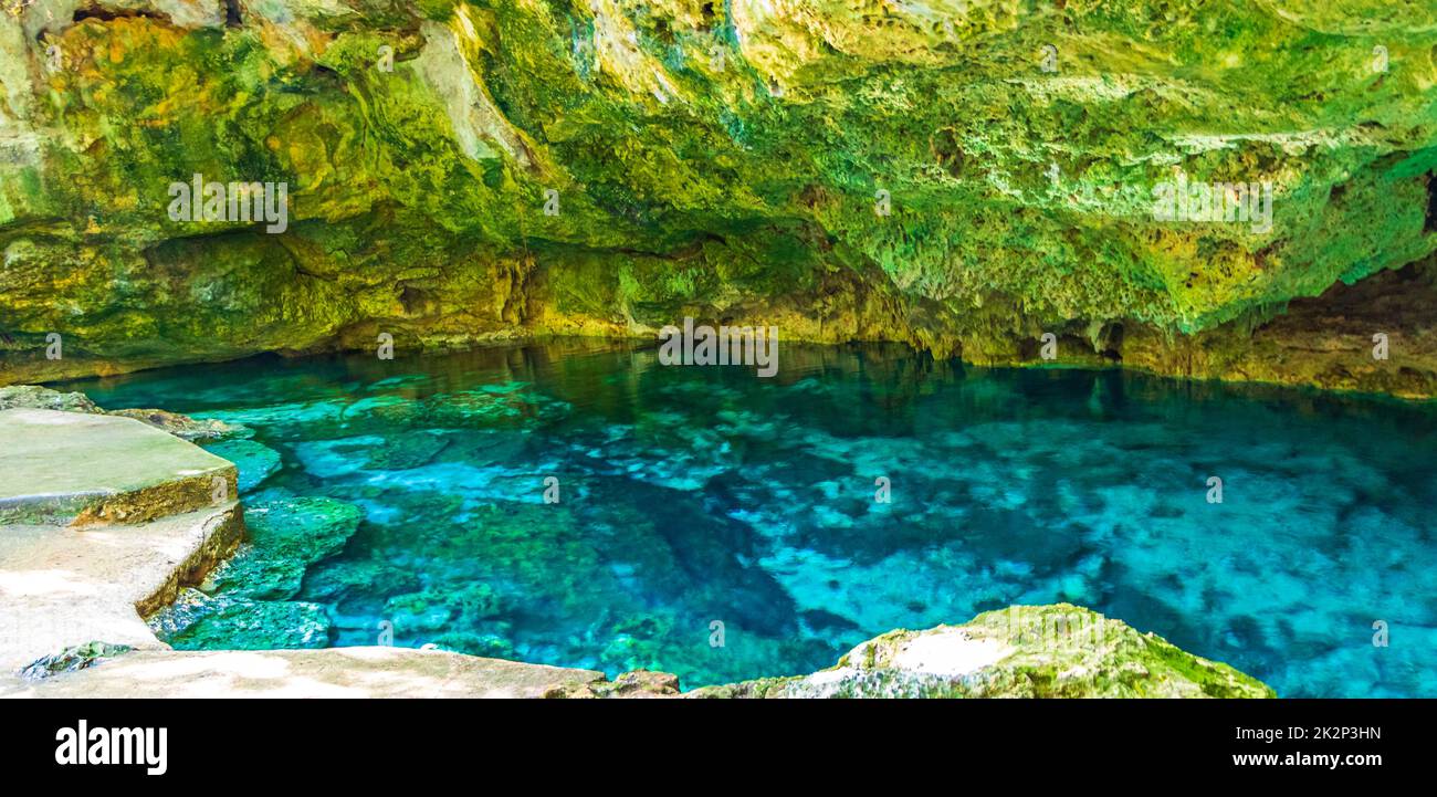 Blue turquoise water limestone cave sinkhole cenote Tajma ha Mexico ...