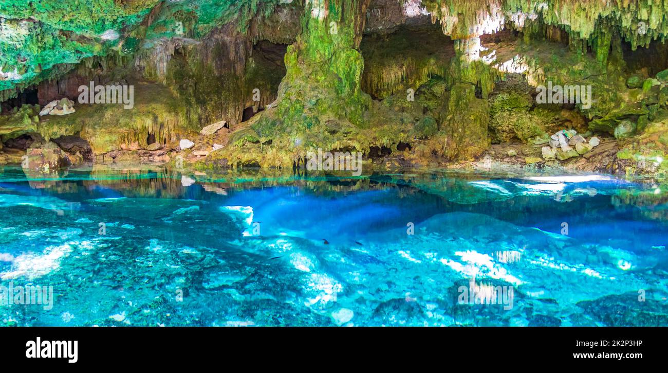 Blue turquoise water limestone cave sinkhole cenote Tajma ha Mexico ...