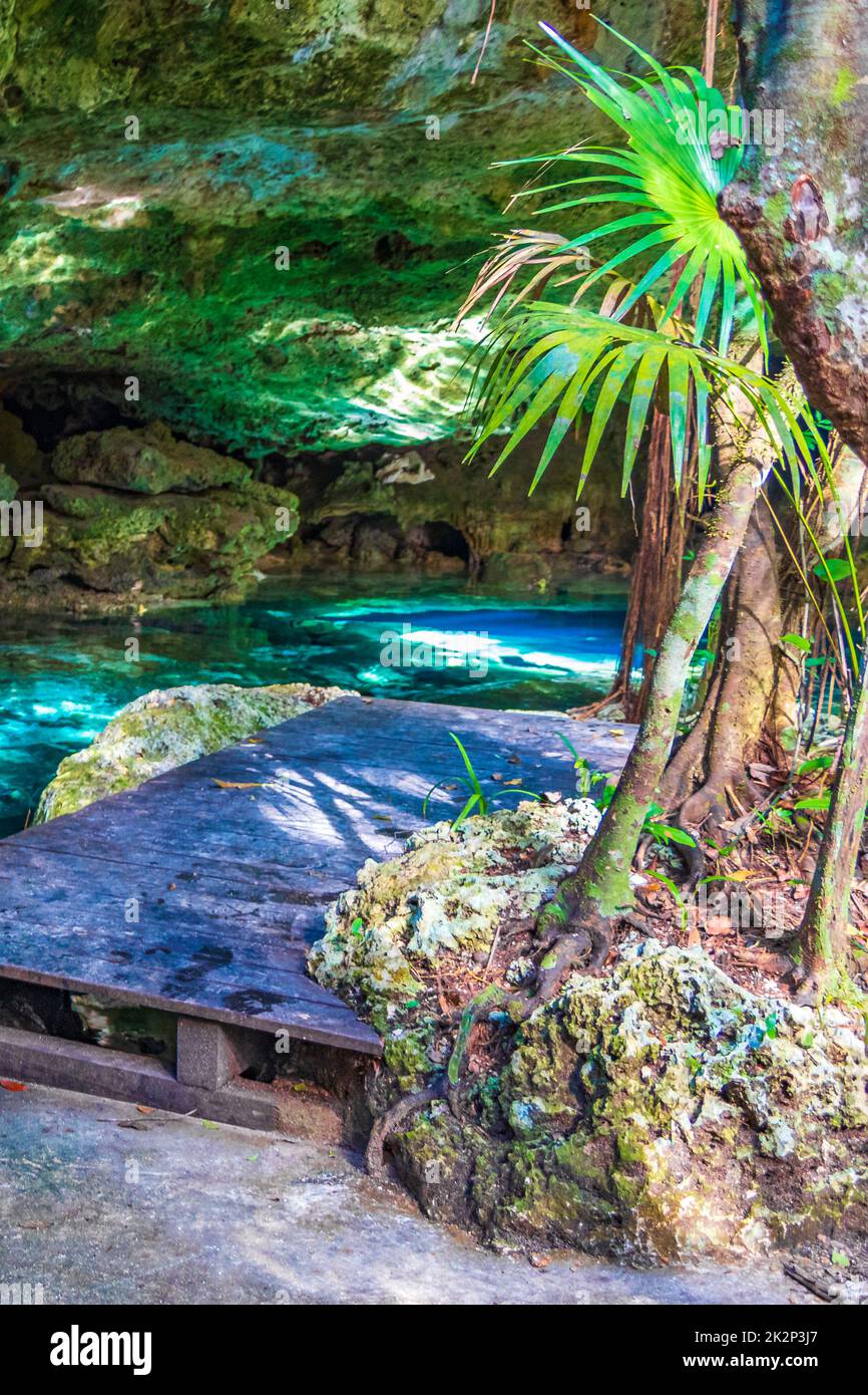 Blue turquoise water limestone cave sinkhole cenote Tajma ha Mexico ...