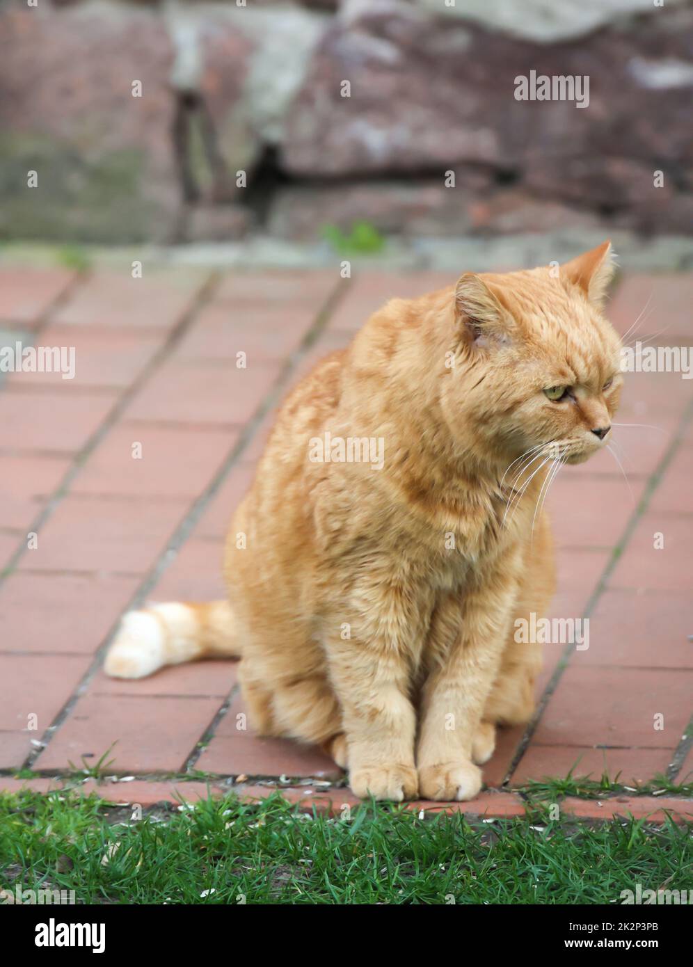 Pouty expression hi-res stock photography and images - Alamy