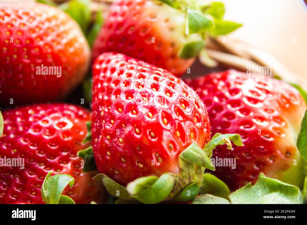 Strawberries in the spring sunshine Stock Photo - Alamy