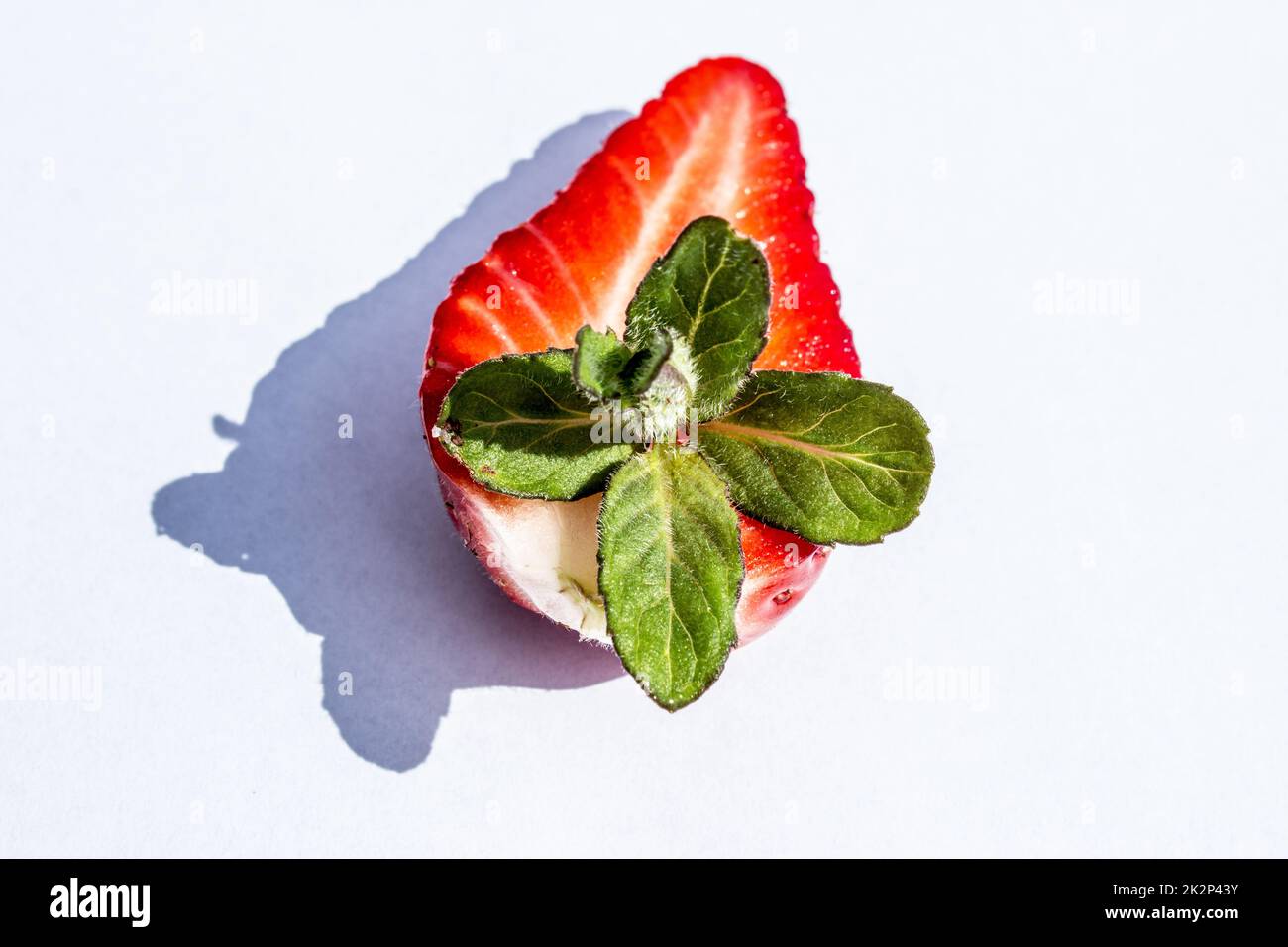 Strawberry leave hi-res stock photography and images - Alamy