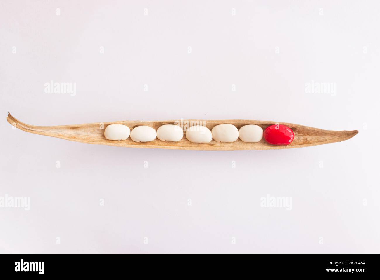 White blue red beans hi-res stock photography and images - Alamy