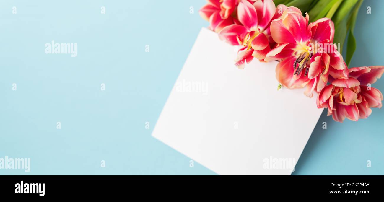 Very beautiful spring tulips on a paper background. Ready mokap, banner ...