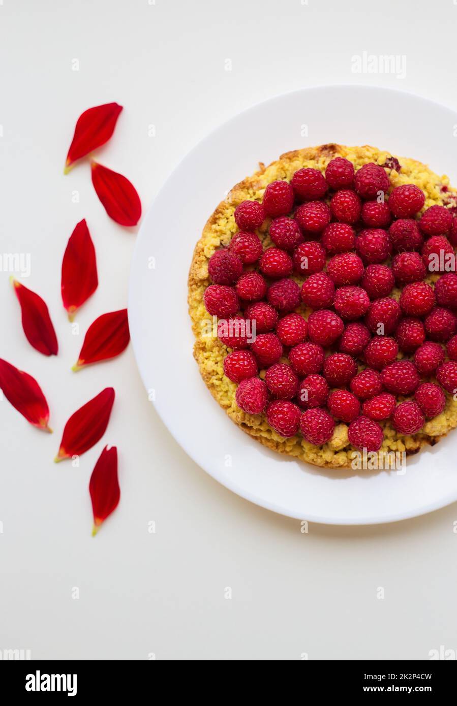 Bright purple berries on hi-res stock photography and images - Alamy