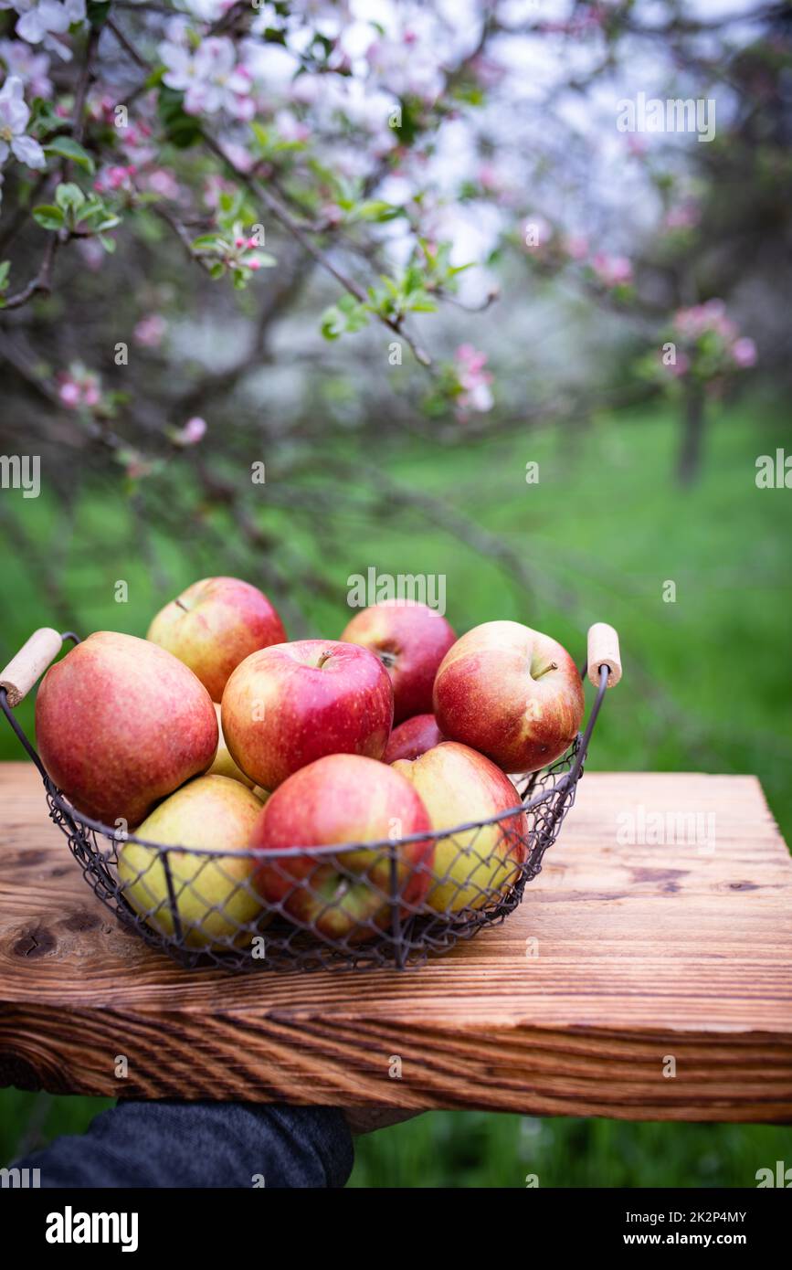 Crisp basket hi-res stock photography and images - Alamy