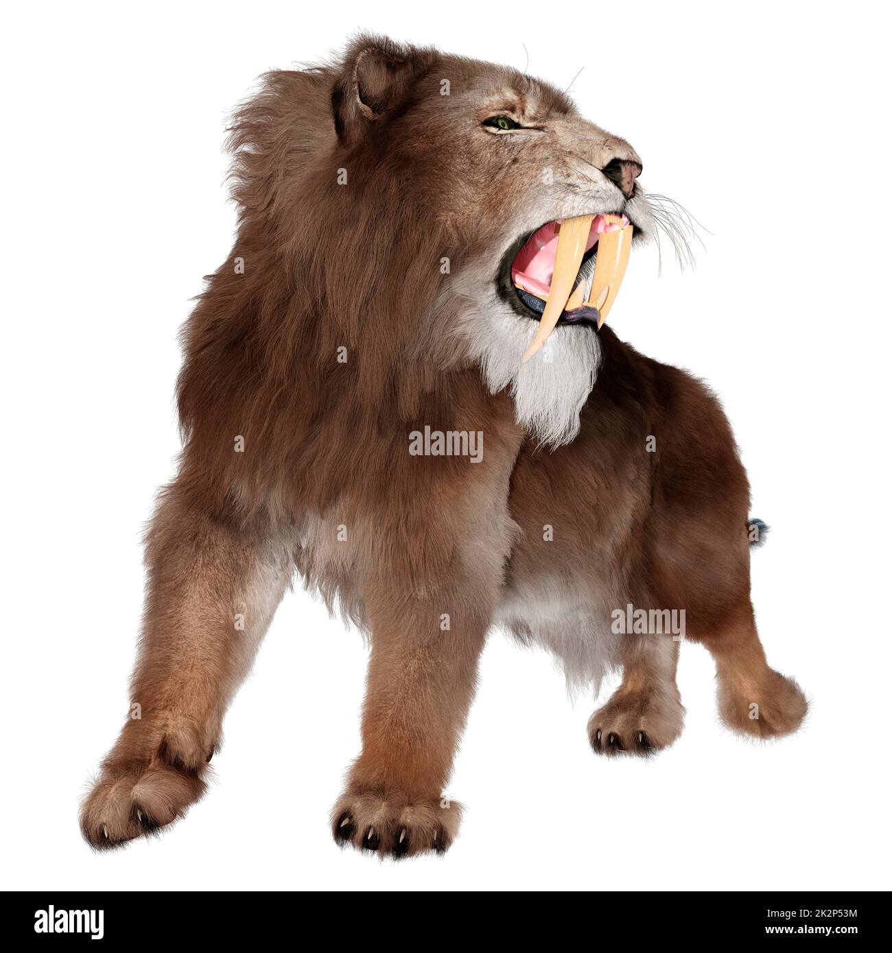 3D Rendering Sabertooth Tiger on White Stock Photo - Alamy