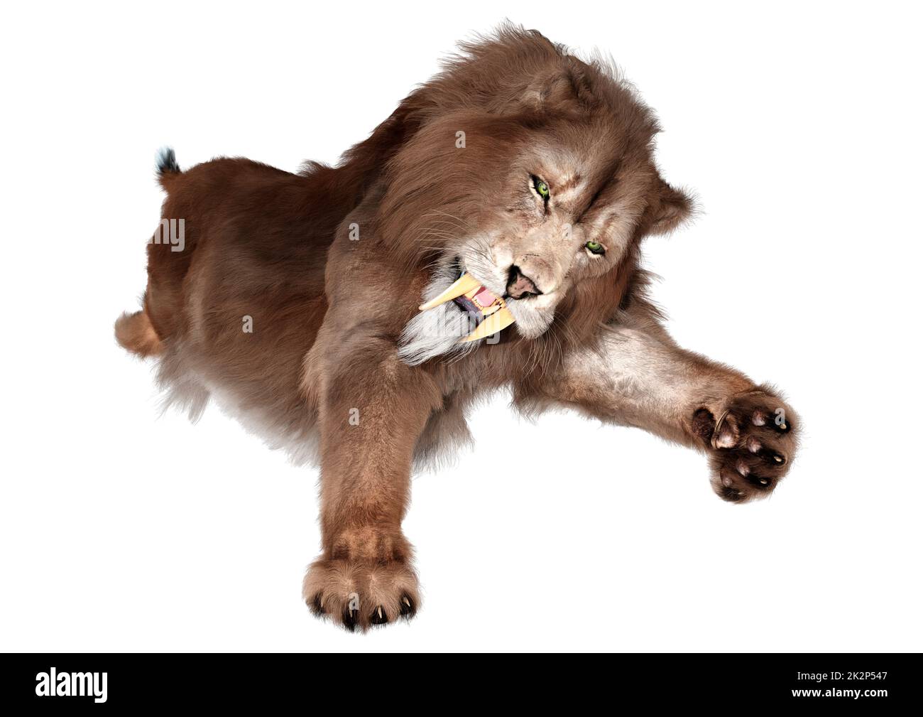 3D Rendering Sabertooth Tiger on White Stock Photo - Alamy