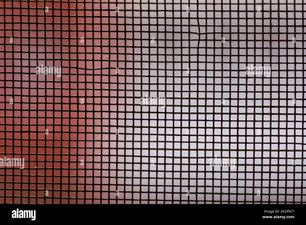 Mosquito net close-up Stock Photo - Alamy