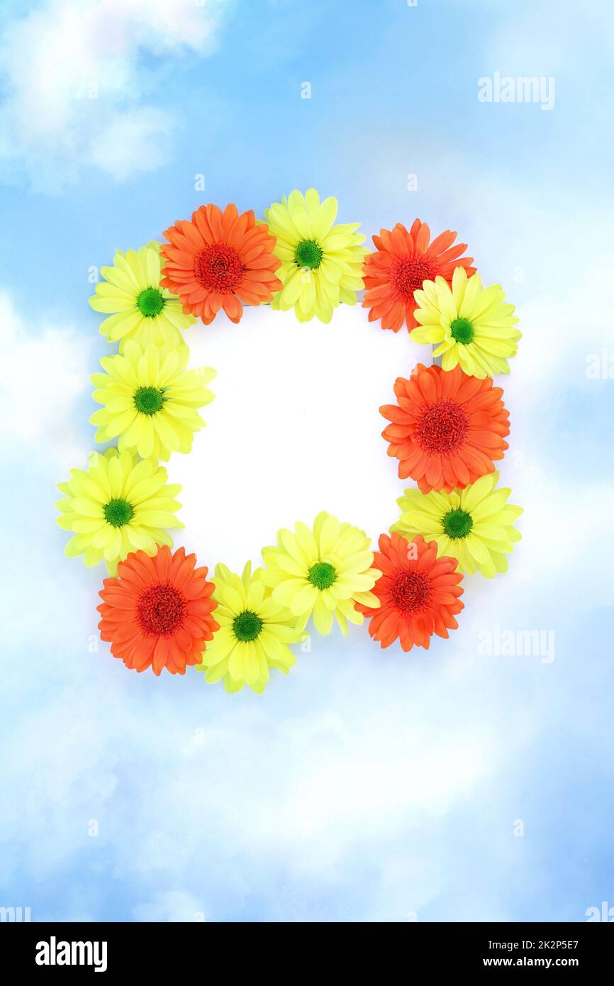 Summer Sky Background Flower Border