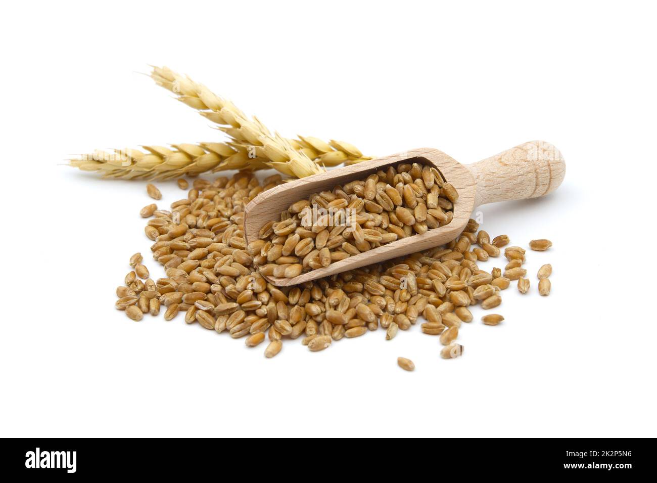 Ear scoop Cut Out Stock Images & Pictures - Alamy