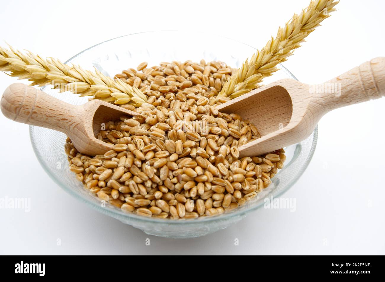 Wheat grain seeds and two wooden scoops Stock Photo - Alamy