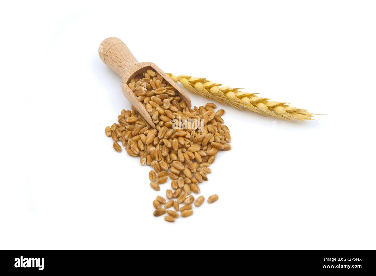 Wheat grain seeds spilling from wooden scoop Stock Photo - Alamy