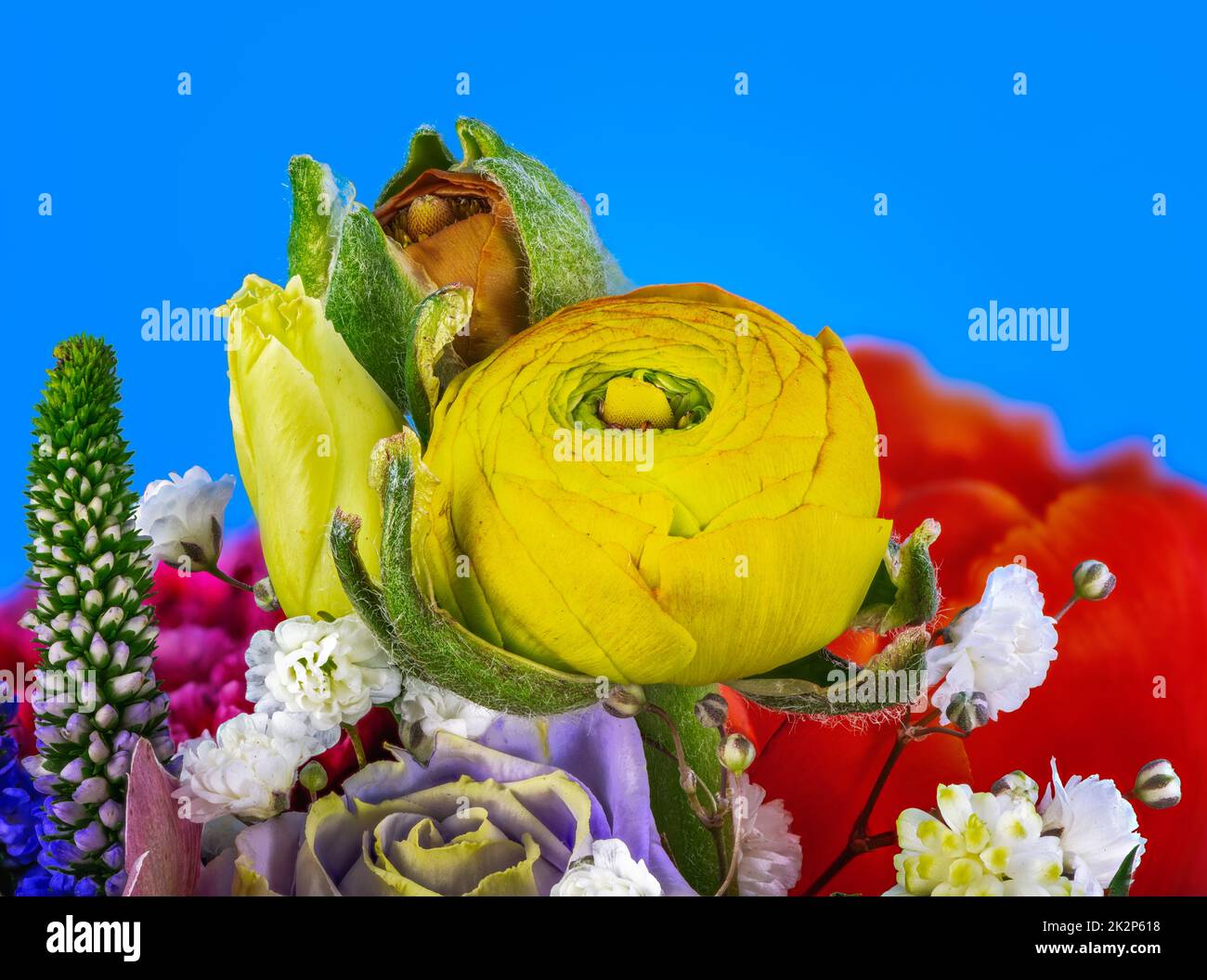 Spring flower arrangement Stock Photo - Alamy
