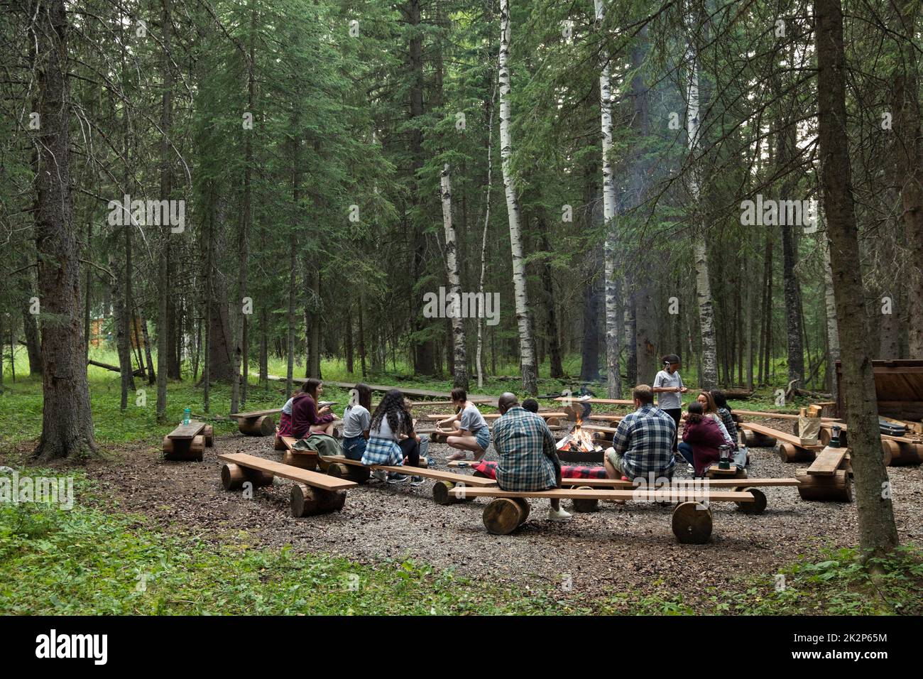 Forest summer camp hi-res stock photography and images - Alamy