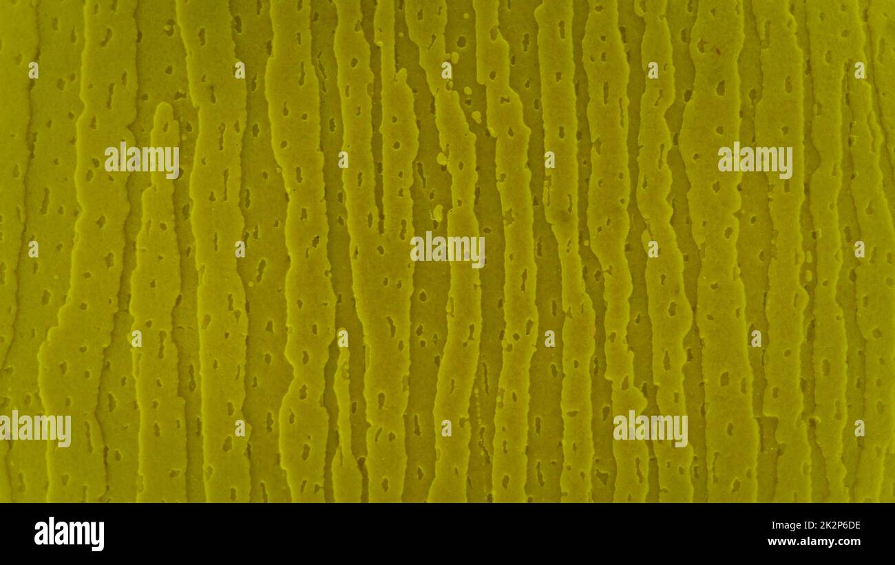 yellow plastic texture surface Stock Photo - Alamy