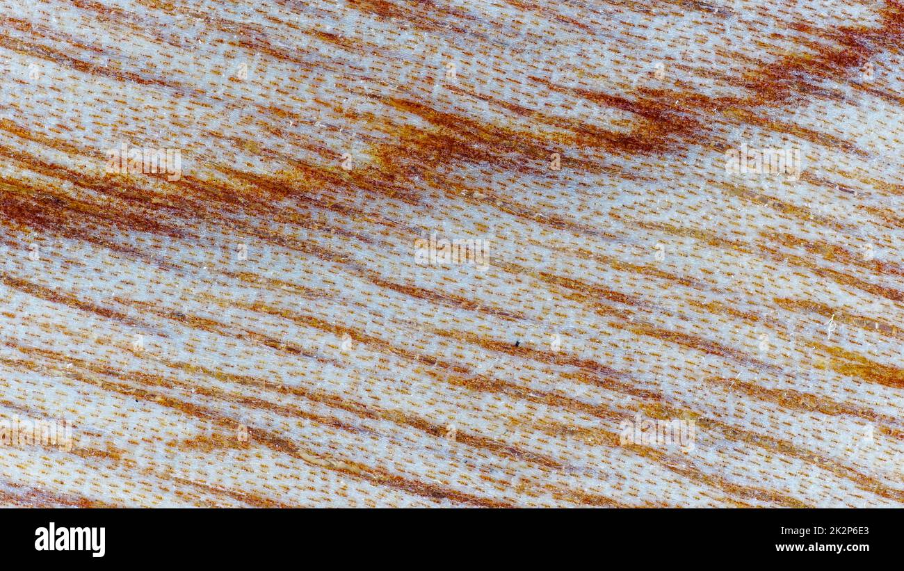 Plank close hi-res stock photography and images - Alamy