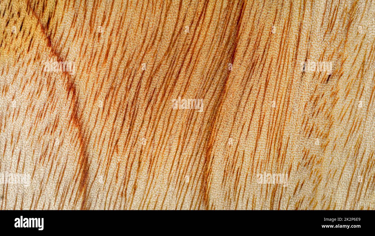 wood plank macro close up surface Stock Photo - Alamy