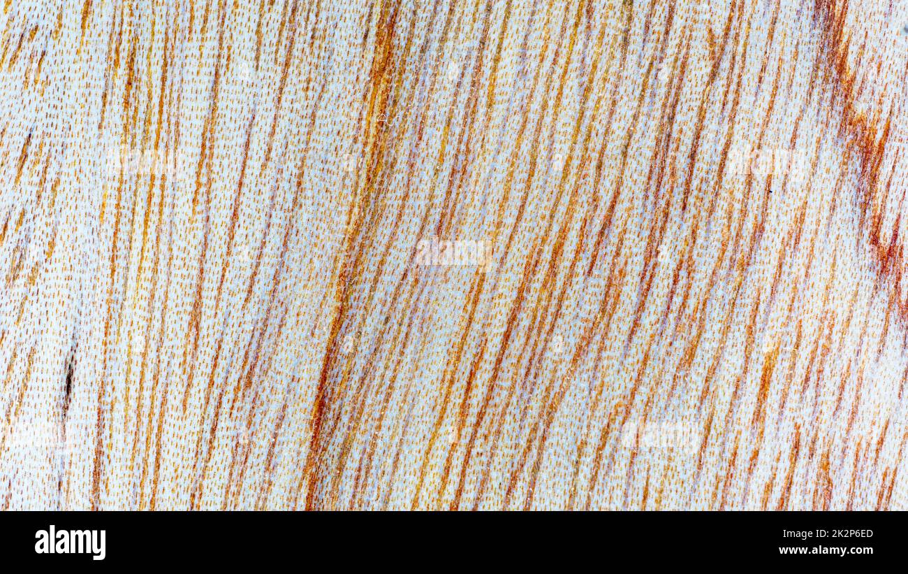 Wood plank macro close hi-res stock photography and images - Alamy