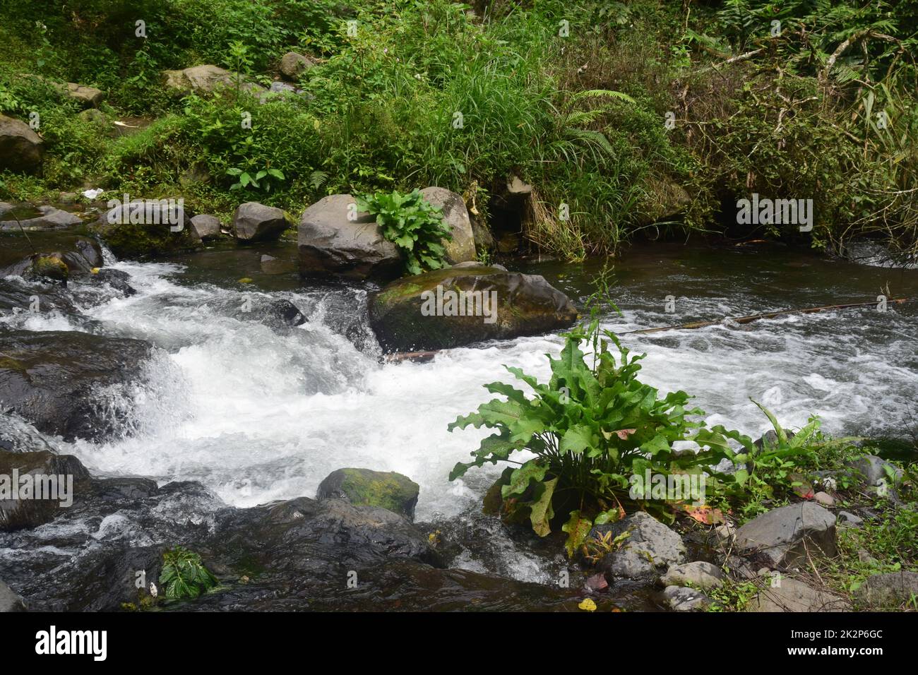 water flowing in the river. natural photography Stock Photo - Alamy