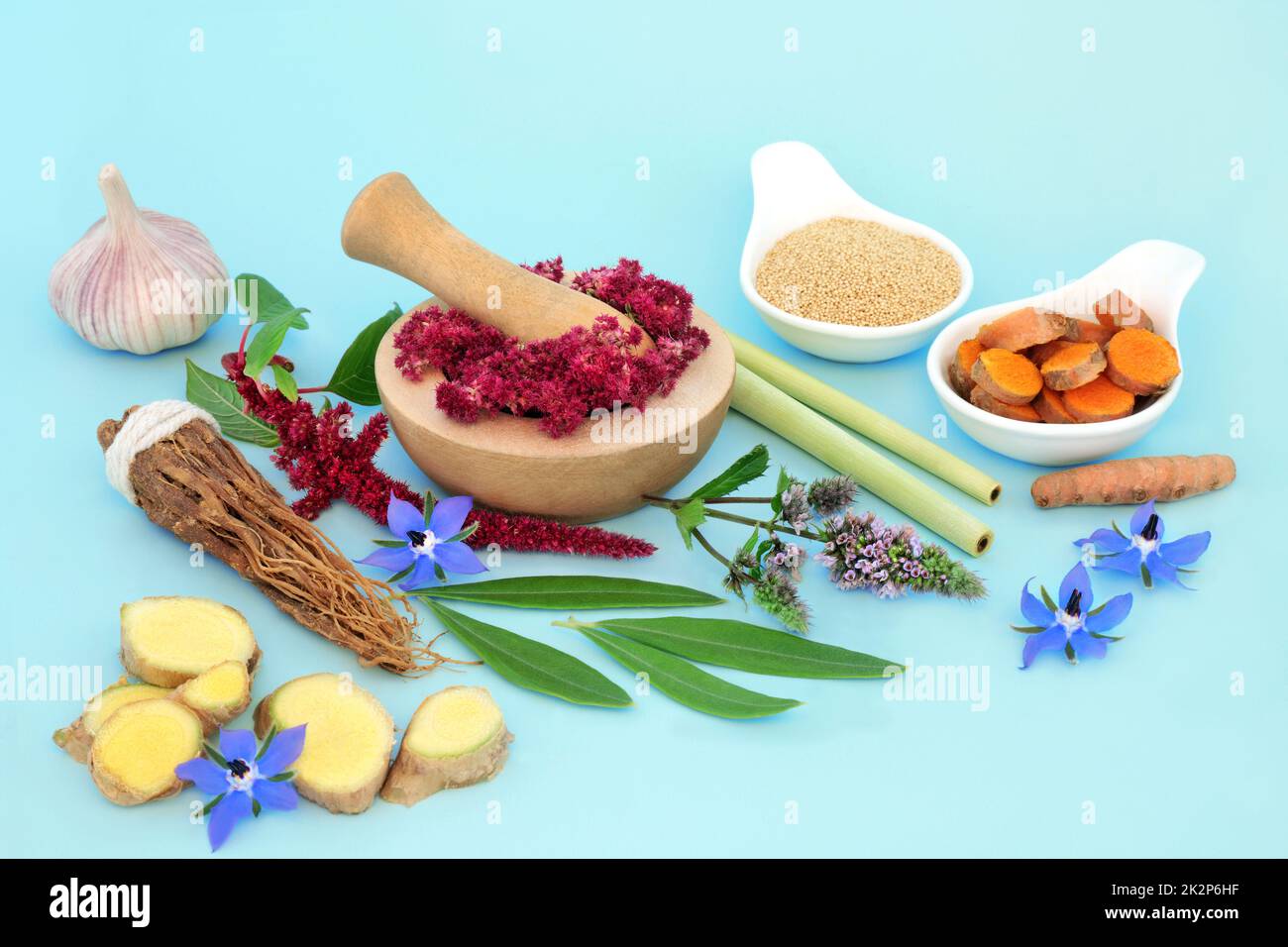 Health food collection for immune system support with herbs and grains ...