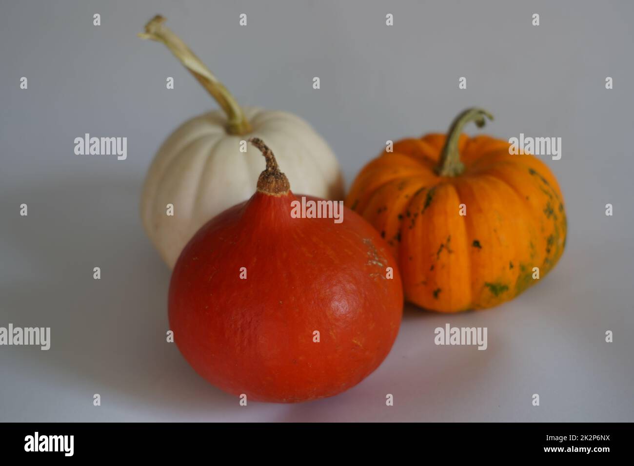 Fresh pumpkin isolated on white background. For Halloween, thanksgiving ...