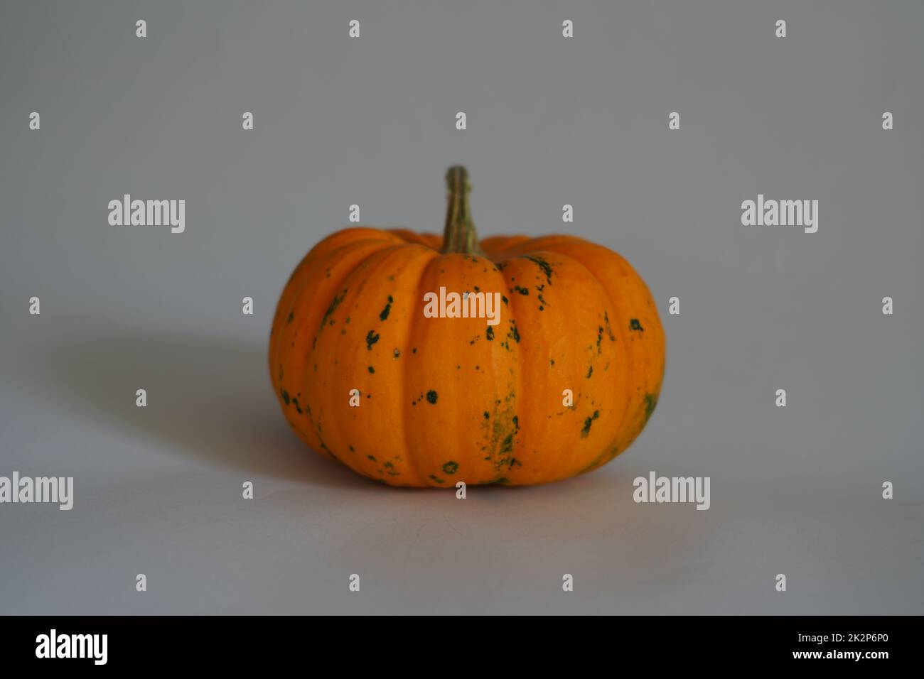 Fresh pumpkin isolated on white background. For Halloween, thanksgiving ...