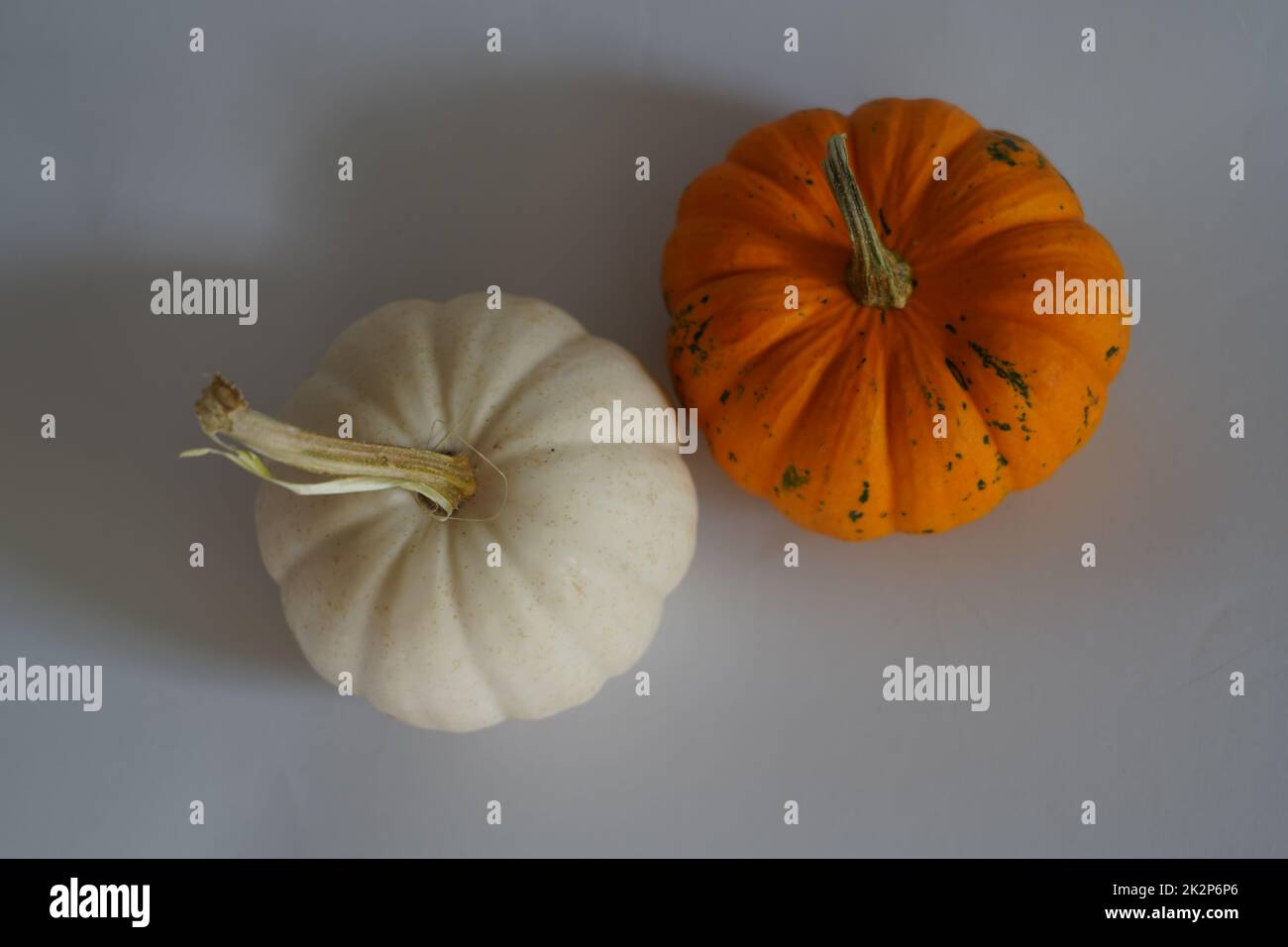 Fresh pumpkin isolated on white background. For Halloween, thanksgiving ...