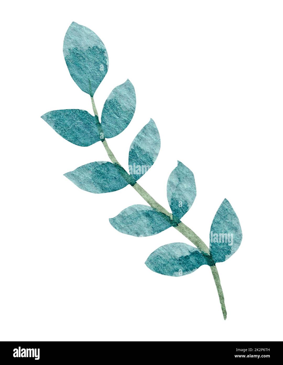 Green watercolor leaf background Cut Out Stock Images & Pictures - Alamy