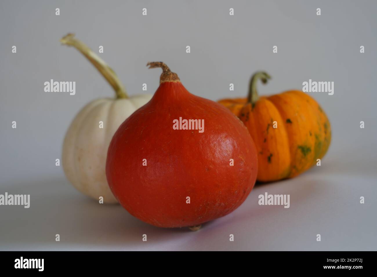 Fresh pumpkin isolated on white background. For Halloween, thanksgiving ...