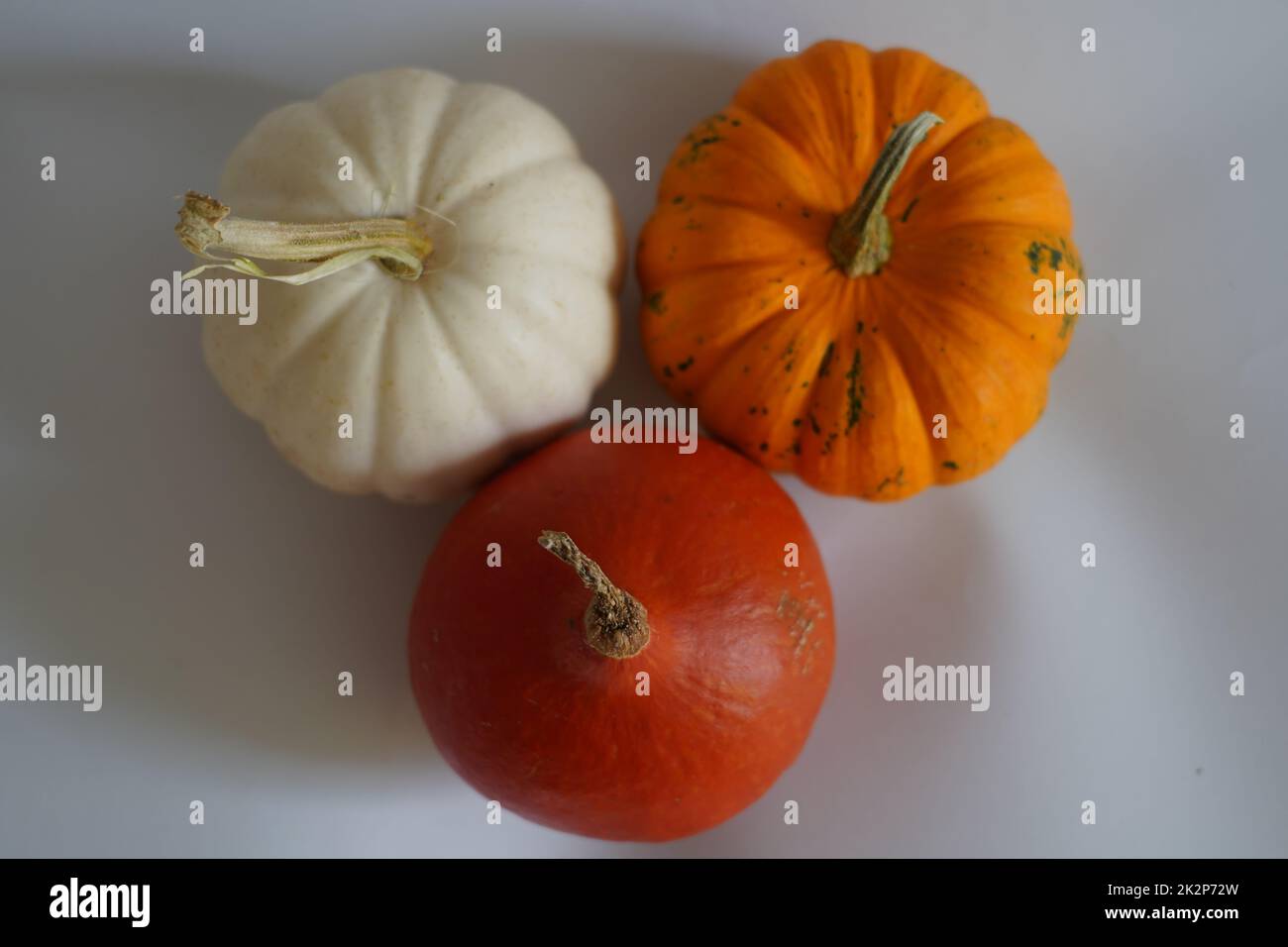 Fresh pumpkin isolated on white background. For Halloween, thanksgiving ...