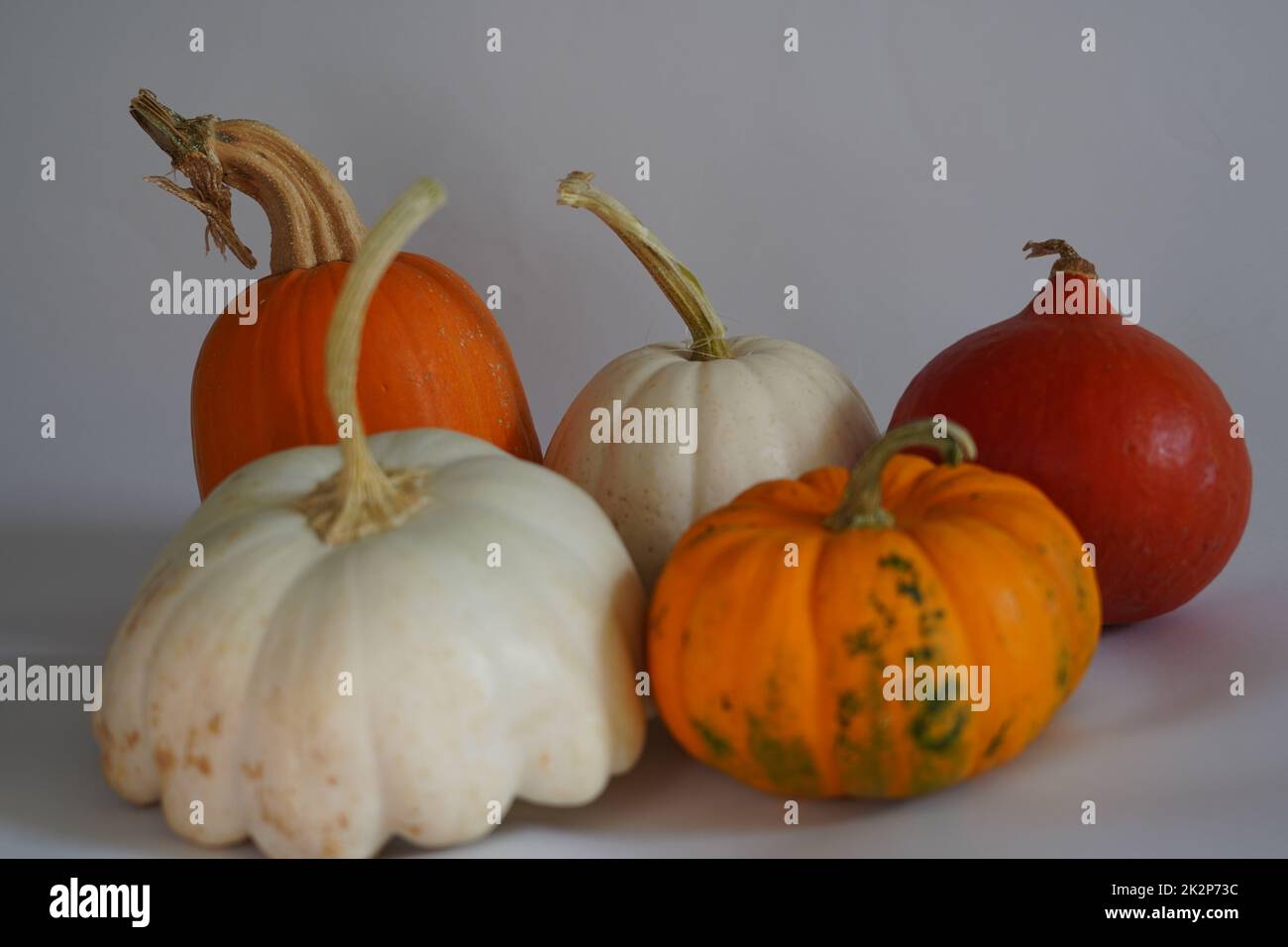 Fresh pumpkin isolated on white background. For Halloween, thanksgiving ...