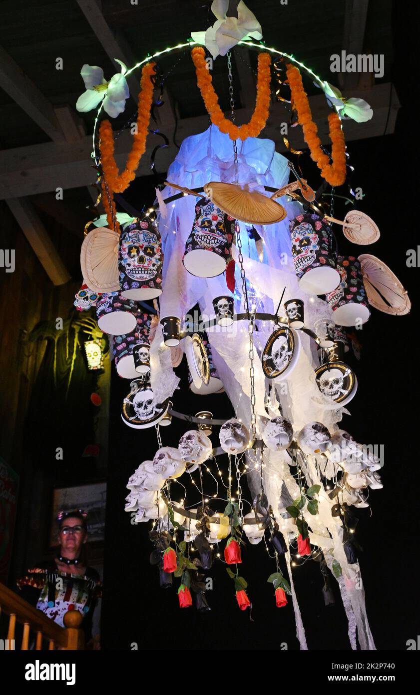 Scary rabbit hi-res stock photography and images - Alamy