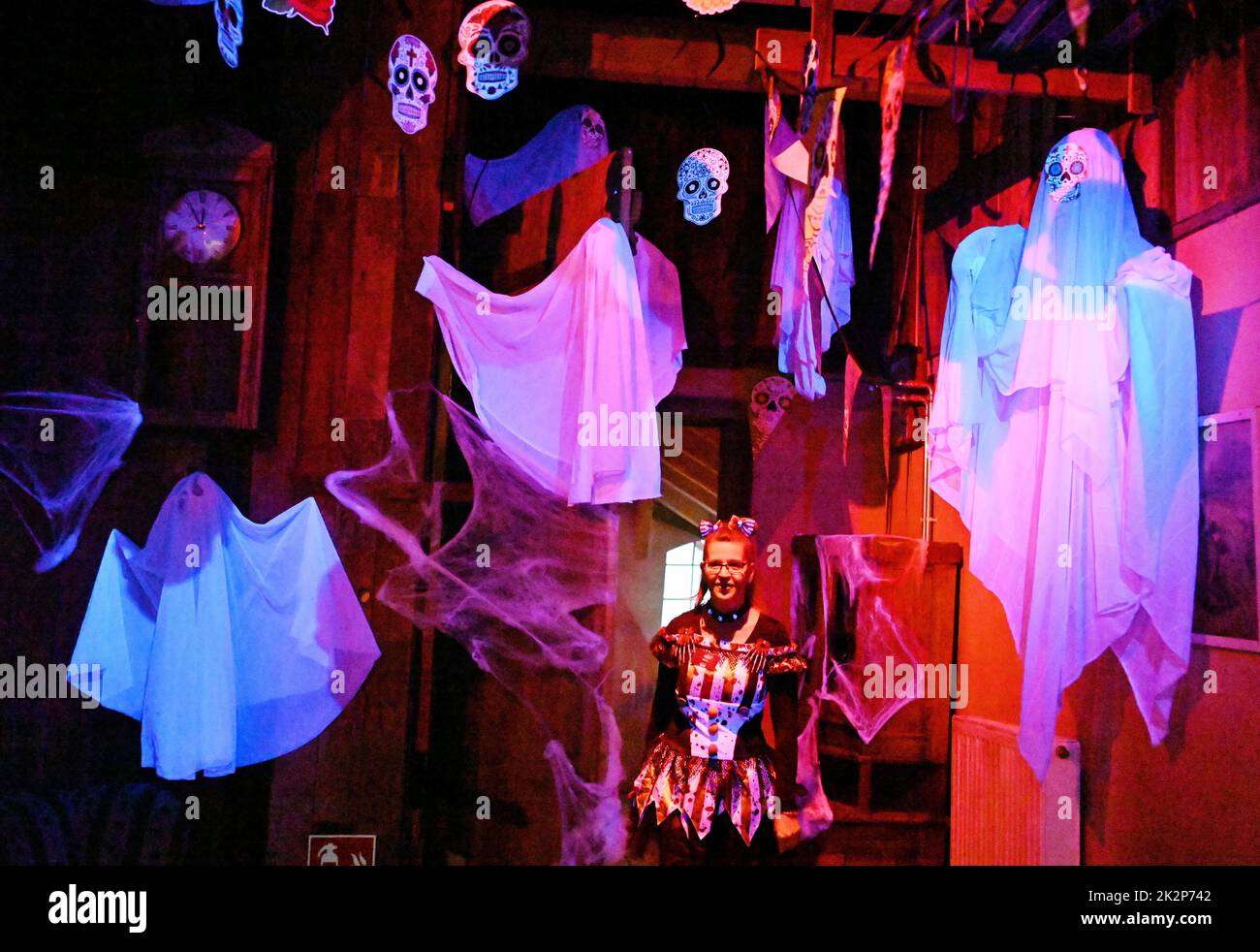 Scary rabbit hi-res stock photography and images - Alamy