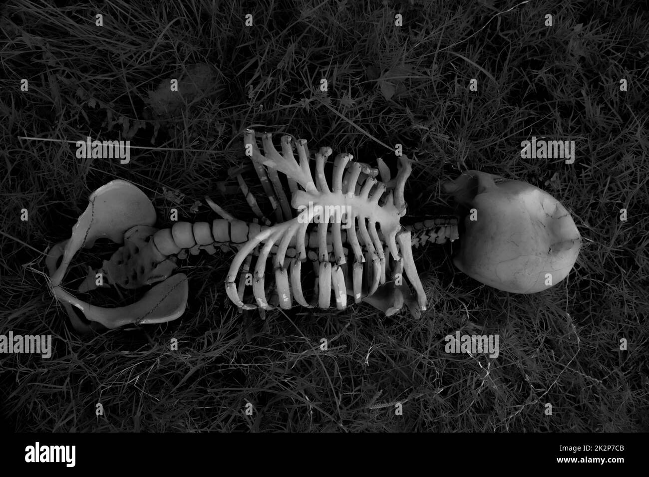 Dead top Black and White Stock Photos & Images - Alamy