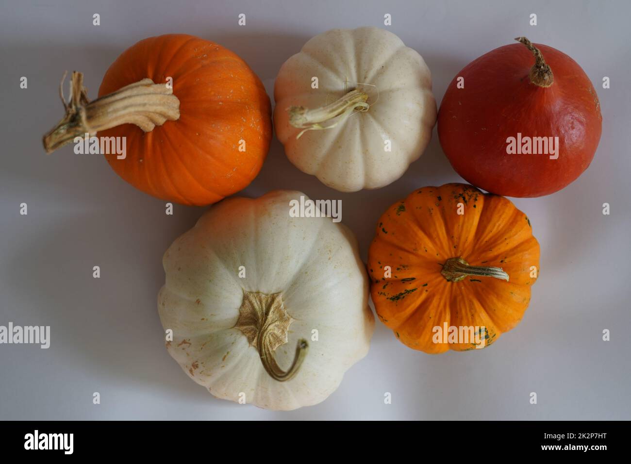 Fresh pumpkin isolated on white background. For Halloween, thanksgiving ...