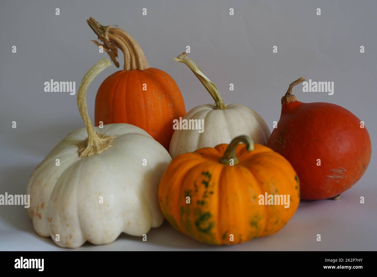 Fresh pumpkin isolated on white background. For Halloween, thanksgiving ...