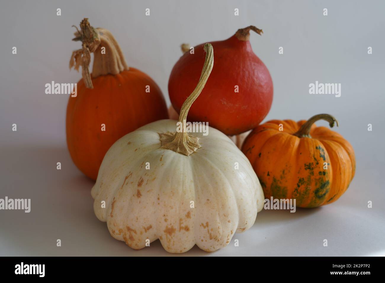 Fresh pumpkin isolated on white background. For Halloween, thanksgiving ...