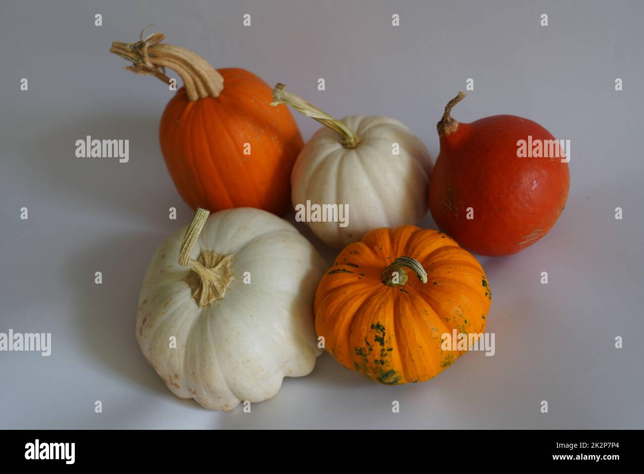 Fresh pumpkin isolated on white background. For Halloween, thanksgiving ...