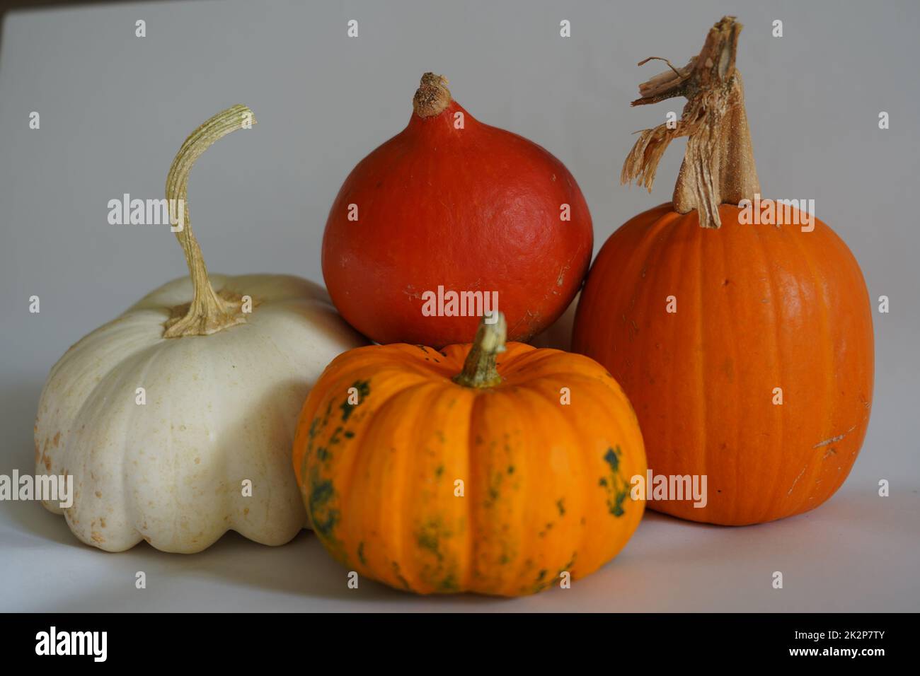 Fresh pumpkin isolated on white background. For Halloween, thanksgiving ...