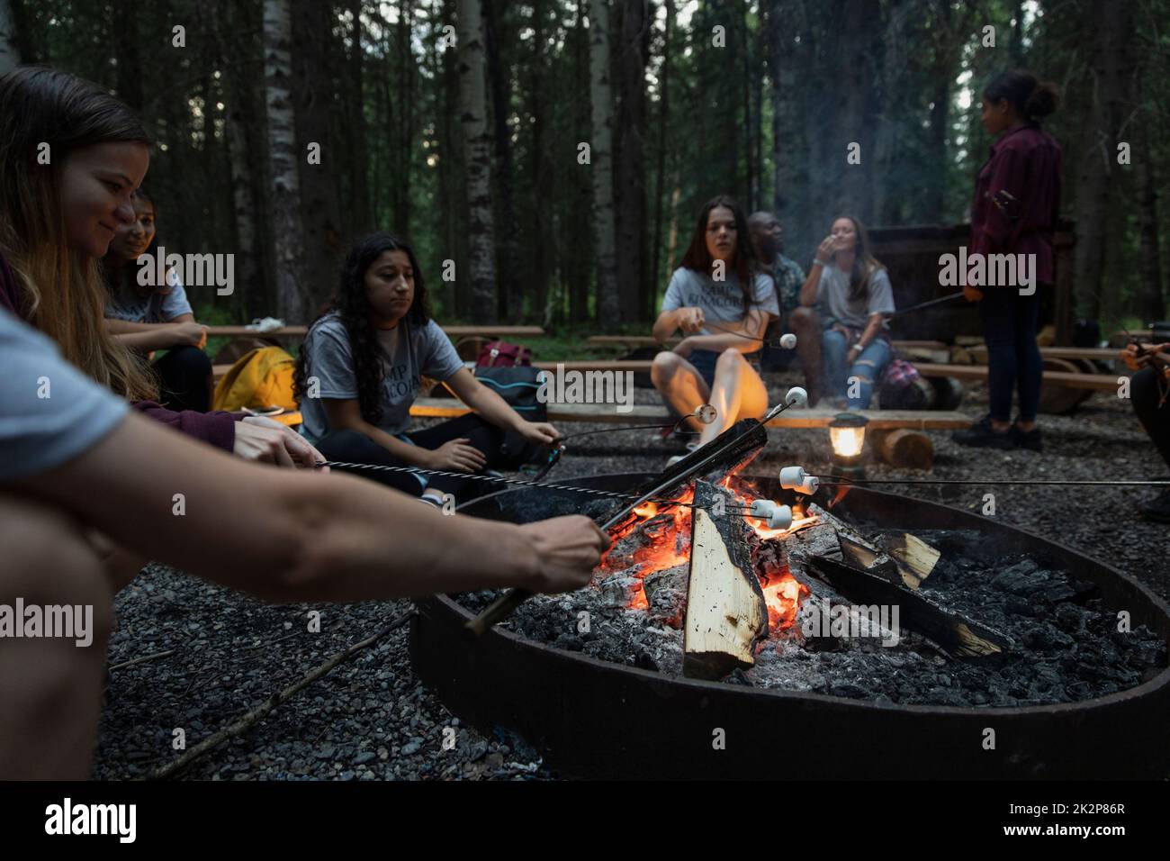 Children toasting marshmallows hi-res stock photography and images - Alamy