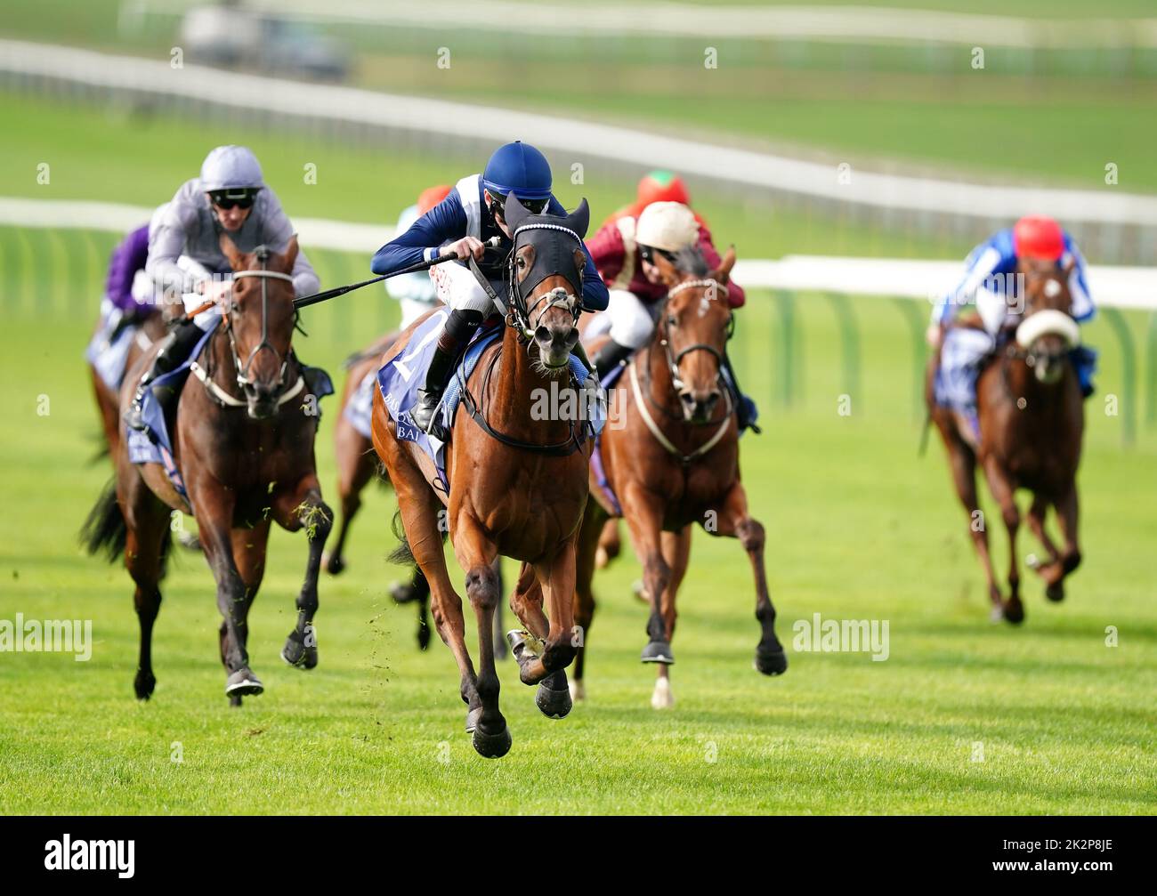 Commissioning rockfel racecourse hi-res stock photography and images ...