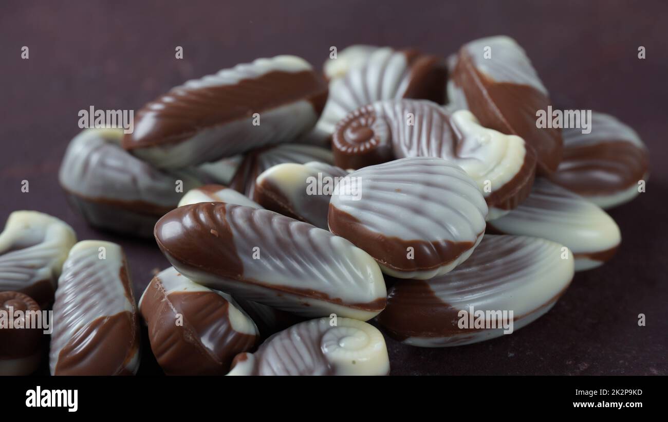 Belgian chocolate seashells hi-res stock photography and images - Alamy