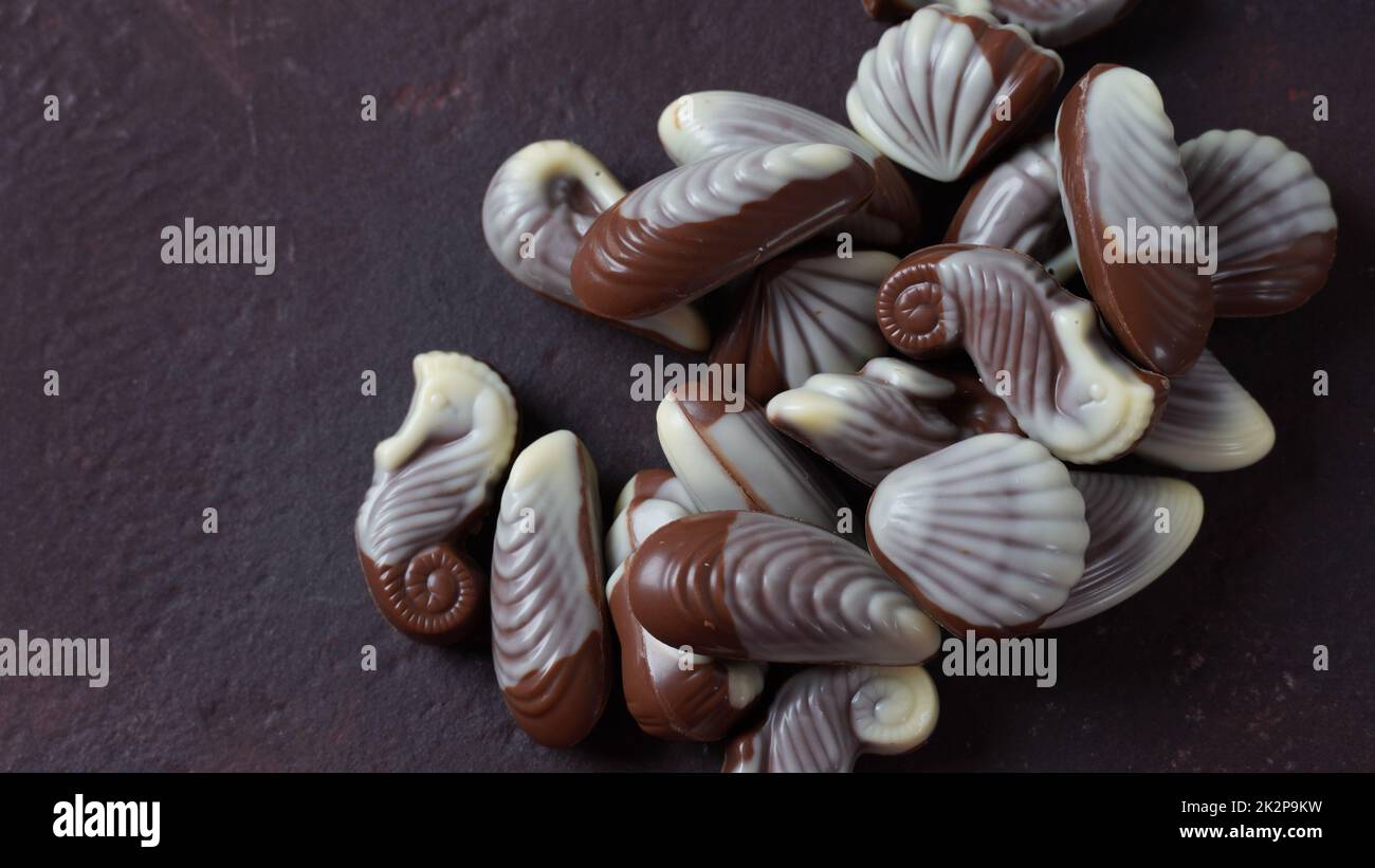 Belgian chocolate seashells hi-res stock photography and images - Alamy