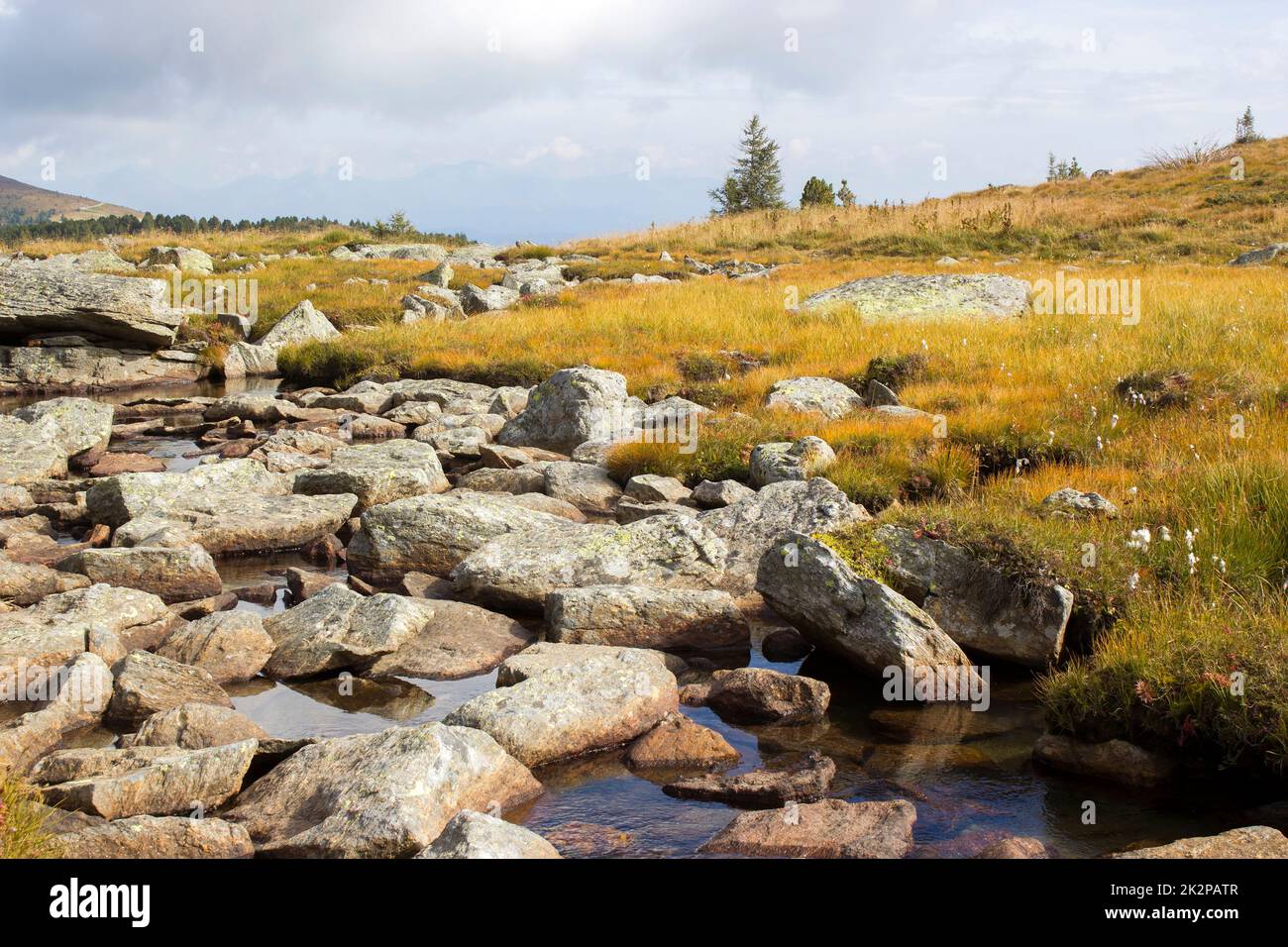 A clear mountain stream on the green meadows in the Austrian Alps Stock ...