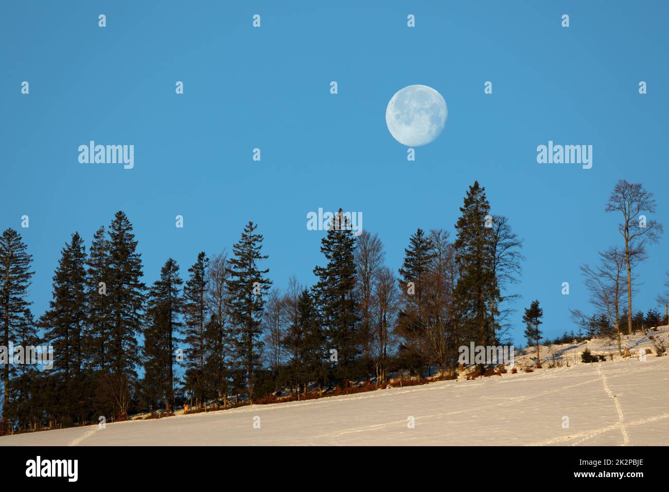 Full moon landscape trees hi-res stock photography and images - Alamy