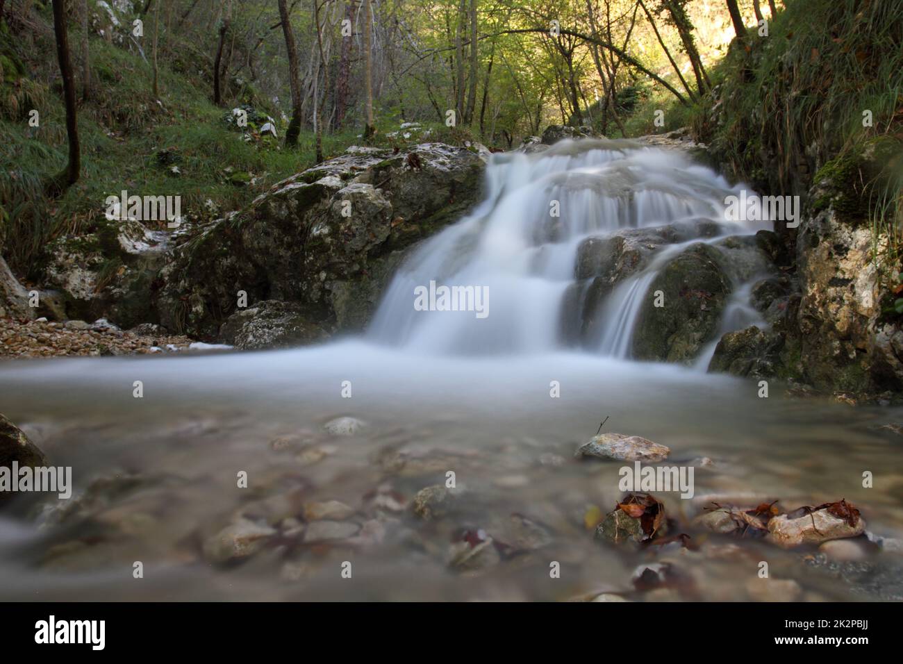 Cascade on stream in shadow below old trees Stock Photo - Alamy