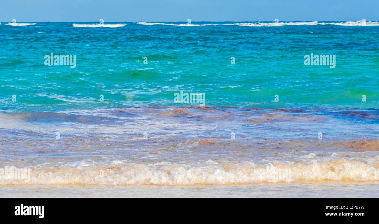 Waves water caribbean coast and beach panorama view Tulum Mexico Stock ...