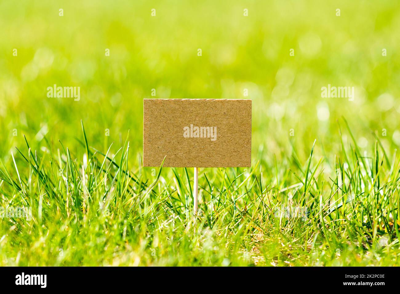 Blank mini paper pointer in a green grass Stock Photo - Alamy